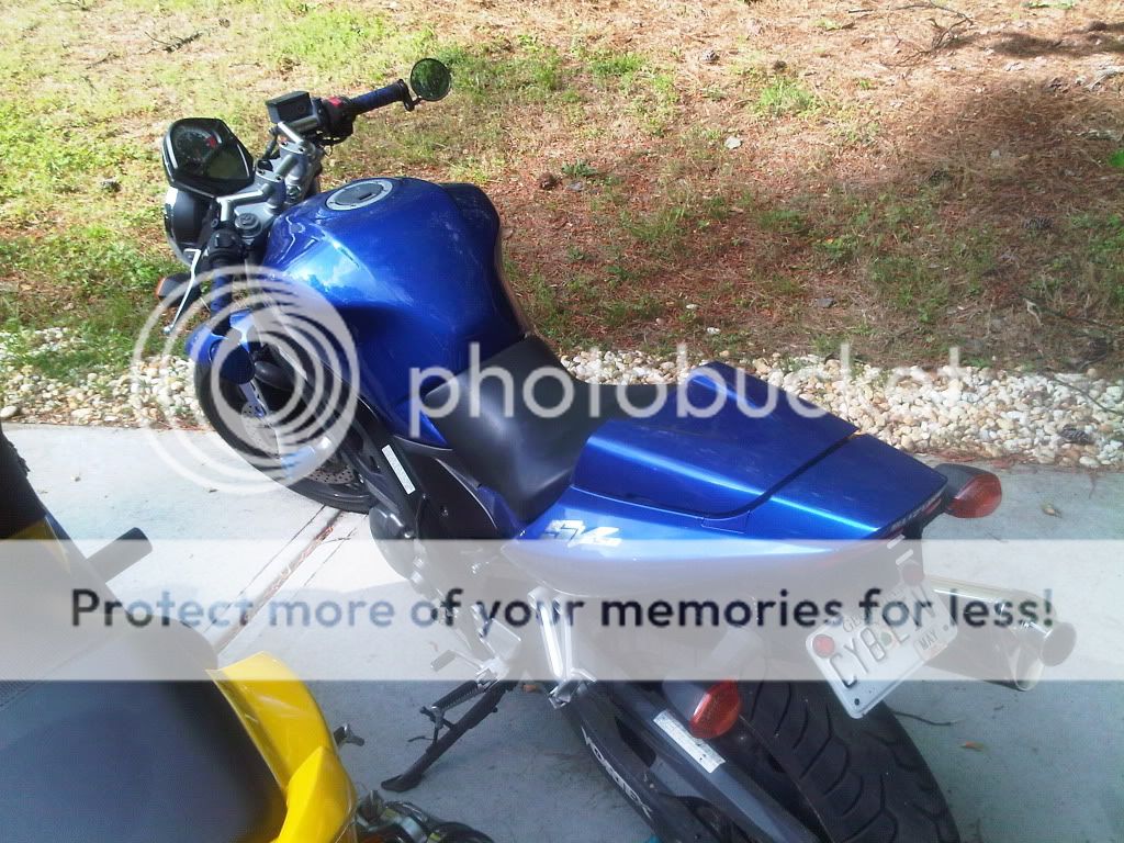 retro-modern SV650 build | Suzuki SV650 Riders Forum