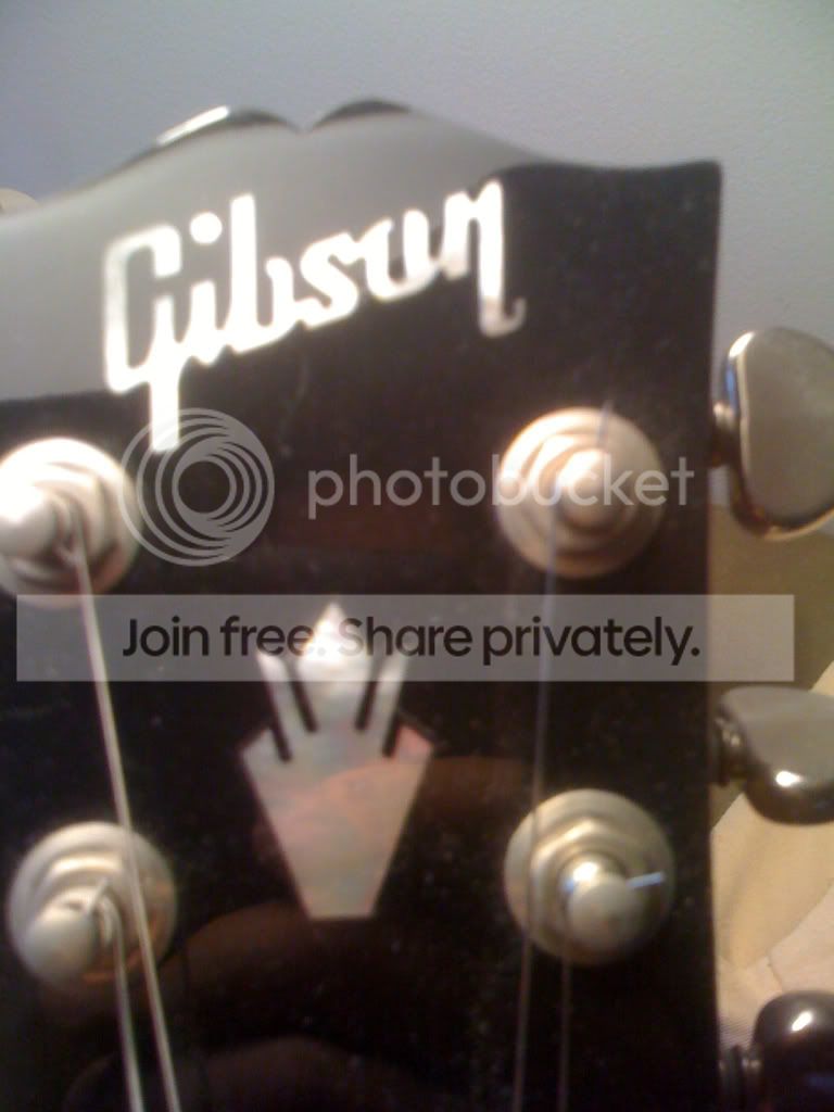 Gibsun - Electric Guitars - Harmony Central