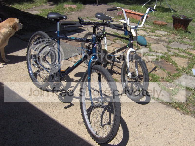 6 SPEED BMX BIKE?!?! - BMXmuseum.com Forums